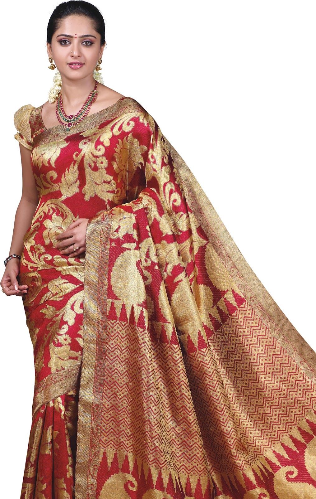 Most Expensive Saree - Navtarang